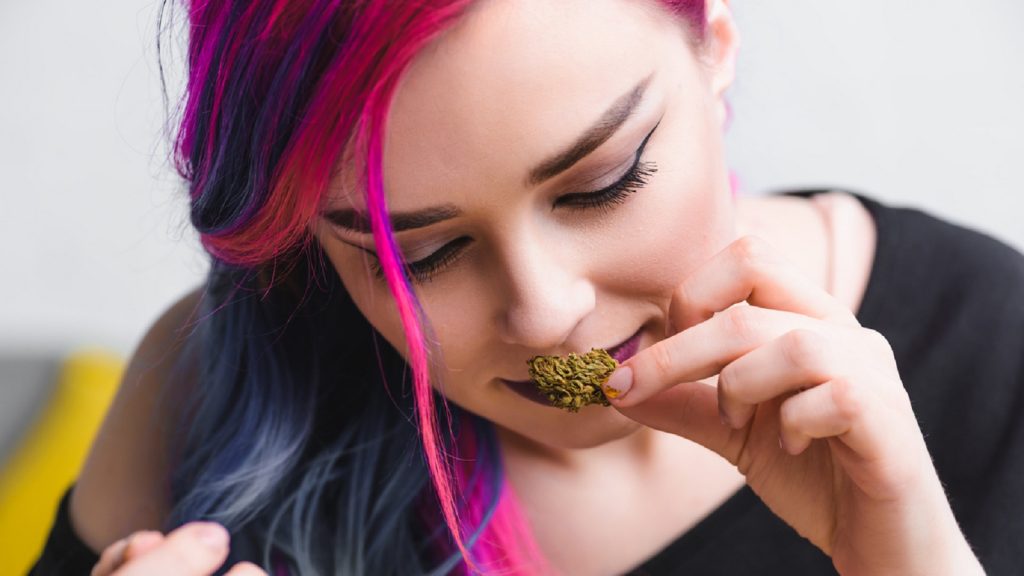 High Quality Cannabis | Cannabis Retailer