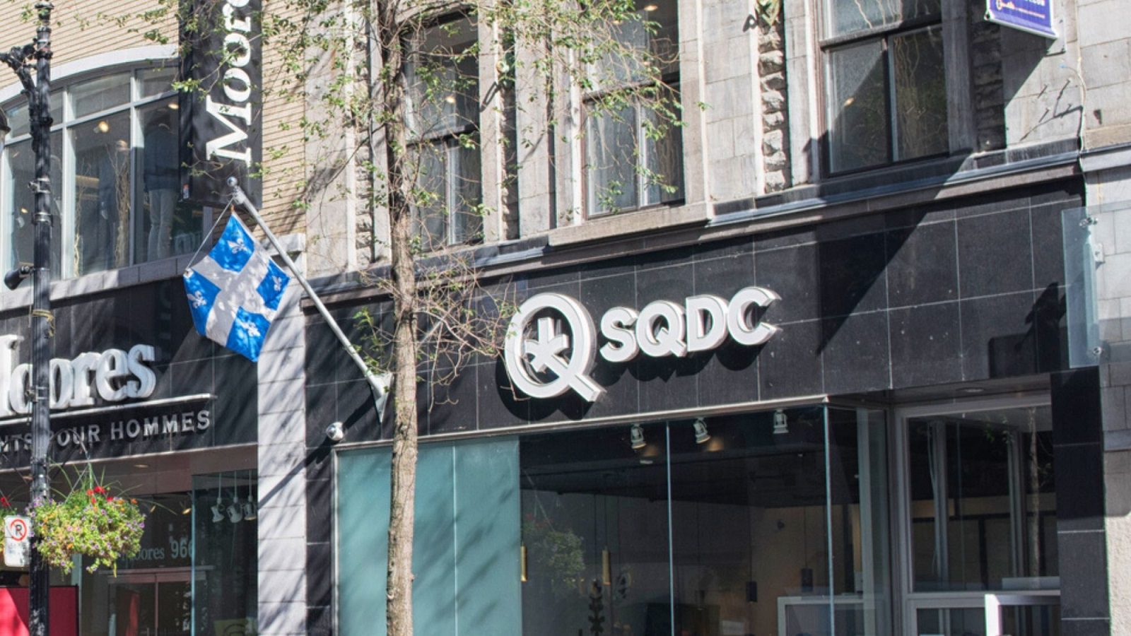 SQDC Reports 7.7 Million Transactions | Cannabis Retailer